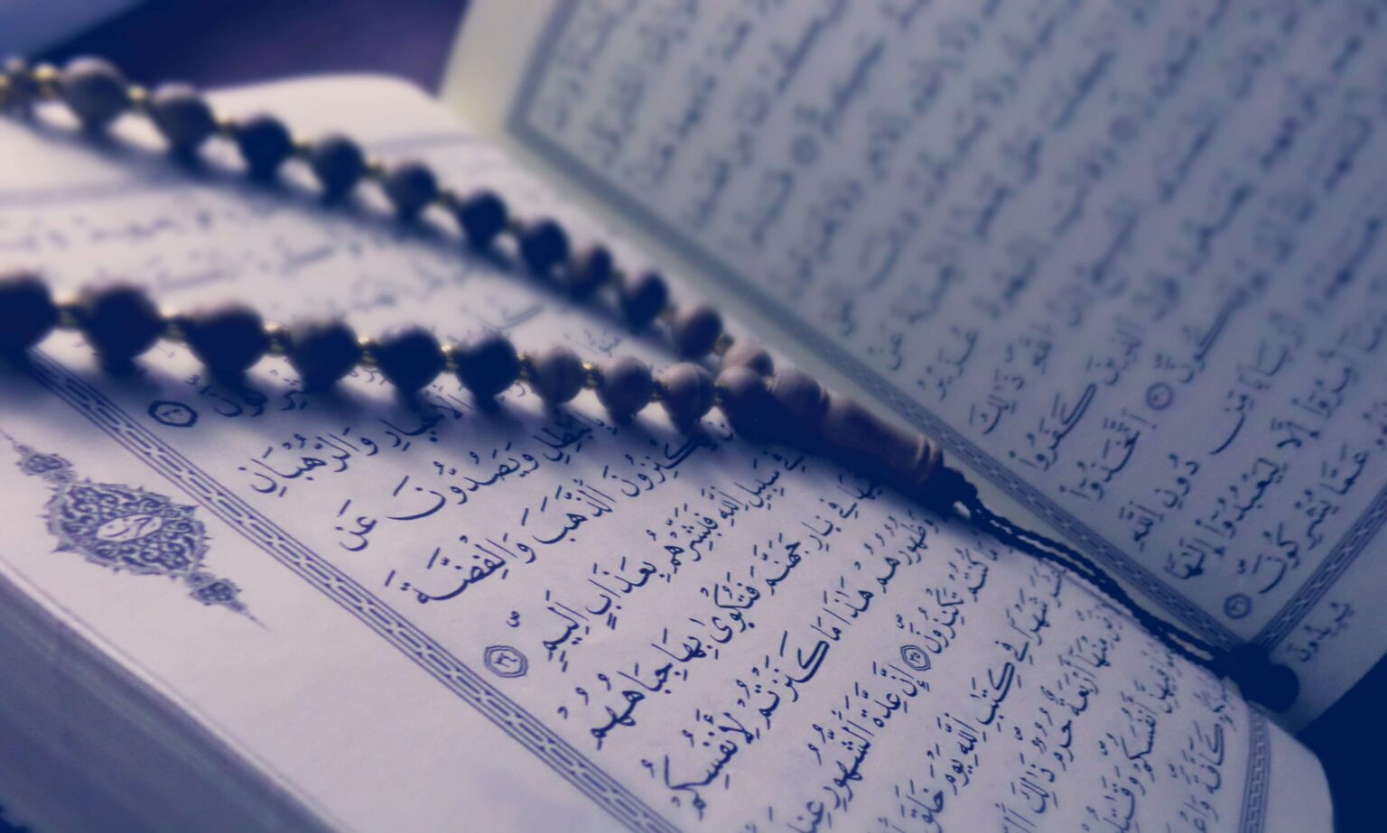 Interesting Facts about the Quran - Quran Majeed Blog